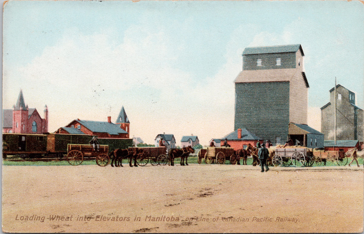 Loading Wheat into Elevators Manitoba MB Farming Farmers Grain Elevator ...